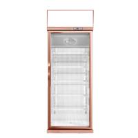 China Champagne Color Luxury Beverage Display Freezer with Auto Defrost and 457L Volume for Commercial Use for sale