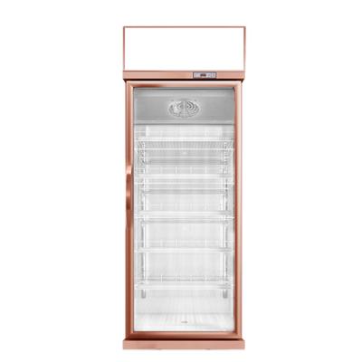 China Champagne Color Luxury Beverage Display Freezer with Auto Defrost and 457L Volume for Commercial Use for sale