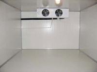 China Modular Walk In Cold Room Panel PVC Painted Steel Stainless Steel White Light Polyurethane for sale