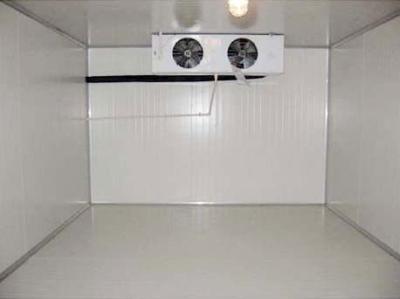 China Modular Walk In Cold Room Panel PVC Painted Steel Stainless Steel White Light Polyurethane for sale