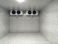 China -18 Degree Walk In Cold Ice Storage Room With Swing / Sliding Door for sale