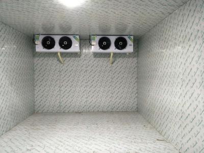 China -18 Degree Walk In Cold Ice Storage Room With Swing / Sliding Door for sale
