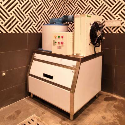 China Automatic Vegetable Display Flake Ice Machine Commercial One Year Warranty for sale