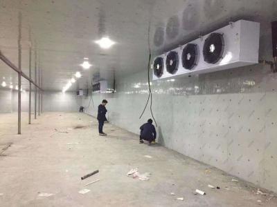 China Fire - Proof Customized Cold Storage Room With Swing / Sliding Door for sale