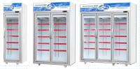 China -18~22℃ Temperature Upright Glass Door Display Freezer For Seafood 1700L for sale