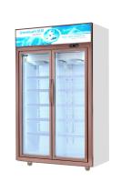 China Commercial Glass Door Freezer with 500L Capacity and Danfoss Compressor - Upright Frozen Display Refrigerator with Triple-Layer Tempered Glass Door for sale