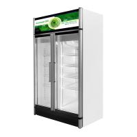 China -18~-25 Degree Ice Cream Glass Door Freezer Energy Efficiency 1220L for sale