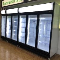 China Commercial Glass Display Refrigerator Multi - Climate Type For Ice Cream for sale