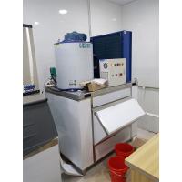 China Supermarket Flake Ice Maker High Capacity Borneol Ice Making Machine for sale