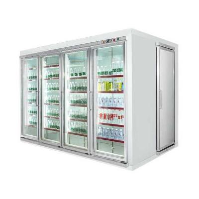 China Commercial Walk In Cold Room Display Freezer With Multi Doors for sale
