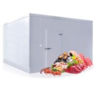 China Large PU Panel Cold Storage Room Refrigeration Equipment Balance Window for sale
