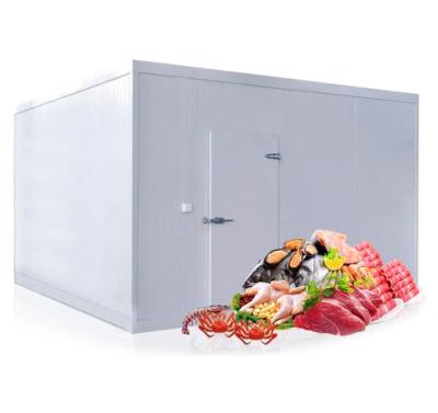 China Large PU Panel Cold Storage Room Refrigeration Equipment Balance Window for sale