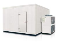 China Polyurethane Mobile Modular Freezer Cold Room For Meat And Fish for sale
