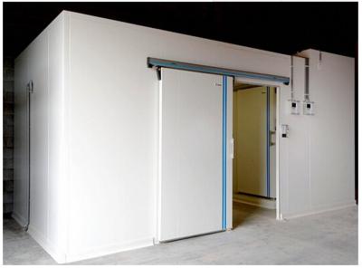 China Fashion Small Cold Room For Dry Food With Air Cooled Condenser for sale