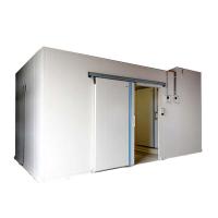 China Chicken Storage Cold Chamber Cold Room For Meat / Vegetables / Fish / Fruit for sale