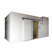 China PU Sandwich Panel Refrigeration Cold Room Shocking Freezer vegetable cold storage Room for sale