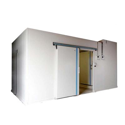 China PU Sandwich Panel Refrigeration Cold Room Shocking Freezer vegetable cold storage Room for sale