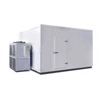China Ice Cold Frozen Freezer Warehouse Room Storage for Fruit Vegetable Potato Fish Meat for sale