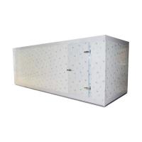 China Assembled Industrial Freezer Cold Room with Energy Saving for Storing Meat/Fish/Fruits&Vegetables for sale