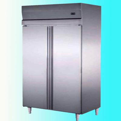 China 500L Commercial Small Upright Frost Free Freezer One Layer with Aspera Compressor for sale