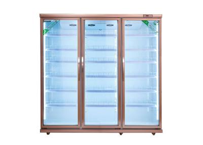 China Display Chiller Commercial Beverage Cooler Refrigerator Glass Door Fridge for sale