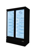 China Plug In System Commercial Display Freezer Double door Showcase for sale