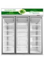 China R134a 1129L Commercial Beverage Cooler Grocery Upright Freezer for sale