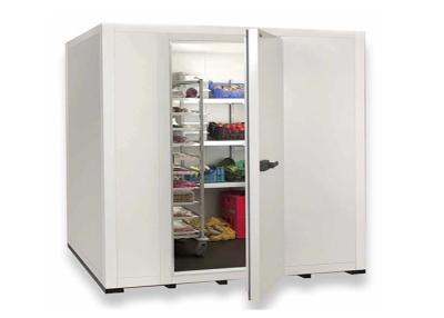 China Custom Fish Chicken PU Panel Cold Storage Room Walk In Freezer Temperature -18C To 0 C for sale