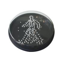 China 12 Years Factory 100/200/300mm Dynamic Sidewalk LED Traffic Signal Light Module for sale