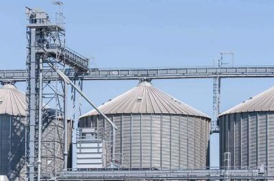 China Customized Feed Storage Silo 6.4-27.4 Meter Height with 1-5000 Ton Capacity for Livestock and Poultry Farms for sale