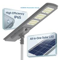 China All-in-One Solar Street Light with LiFePO4 Battery Intelligent Control and 220 lm/W High Efficiency for sale