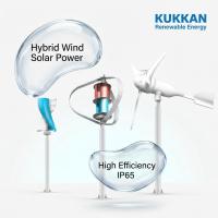 China 100W-200W Wind-Solar Hybrid Street Light with IP65 Waterproof and 12hrs*365days Working Time for Off-Grid Roads for sale
