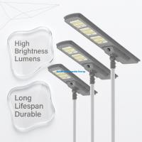 China All-in-One Solar Street Light with LiFePO4 Battery Intelligent Control and 220 lm/W High Efficiency for sale