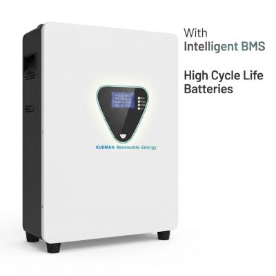 China Wall-Mounted LiFePO4 Solar Energy Storage Battery with 6000 Cycles and 25.6/51.2V for Home Backup for sale