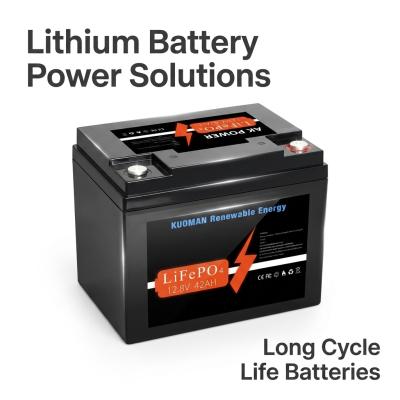 China 537.6Wh 12V 40Ah Lithium Battery Deep Cycle LiFePO4 Battery for Energy Storage and Golf Cart for sale