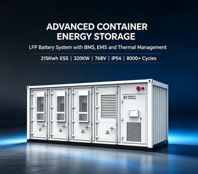 China Outdoor IP54 Battery Energy Storage Container | Peak Shaving for Industrial Factories for sale