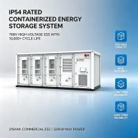 China 500kWh/1MWh/2MWh Container ESS Battery Storage | 24/7 Remote Monitoring Energy Unit for sale