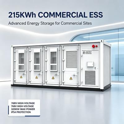 China Long Lifespan 8000-Cycle Container Battery Storage | On-Site Renewable  Commercial LFP ESS Solution for sale