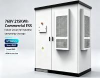China 768V 215kWh Microgrid Energy Storage System | Robust Outdoor Cabinet LiFePO4 Battery ESS for sale