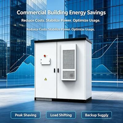 China 215kWh Outdoor Energy Storage Cabinet 768V | Reliable Power Supply for Remote Off-Grid Locations for sale