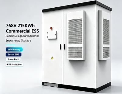 China 215kWh Outdoor C&I Energy Storage Cabinet | 768V LFP Battery System for Solar PV Integration for sale