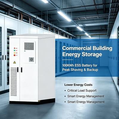 China Three Phase 100KWh Commercial ESS Battery Renewable Energy Storage To Lower Enterprise Carbon Footprint for sale