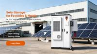 China 215kWh Outdoor Energy Storage Cabinet 768V | Microgrid and Renewable Energy Remote Off-Grid Locations for sale