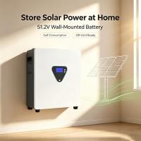 China 51.2V 300Ah LiFePO4 Wall Type Home Energy Storage Battery 15.36kWh Solar Backup Power House & Small Commercial Use for sale