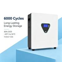 China Residential 51.2V 100Ah Wall Lithium Battery 5120Wh, Safe Indoor Install Off-Grid Solar Storage with Smart APP Remote Monitor for sale