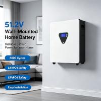 China Wall-Mount 51.2V Lithium Powerwall, Max 200A Charge/Discharge, Smart LCD Display Off-Grid Cabin Solar Backup Battery Storage for sale