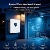 China 51.2V LiFePO4 Wall Power Storage Battery, Complete BMS Protection Emergency Blackout Power Supply for sale