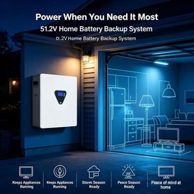 China 51.2V LiFePO4 Wall Power Storage Battery, Complete BMS Protection Emergency Blackout Power Supply for sale