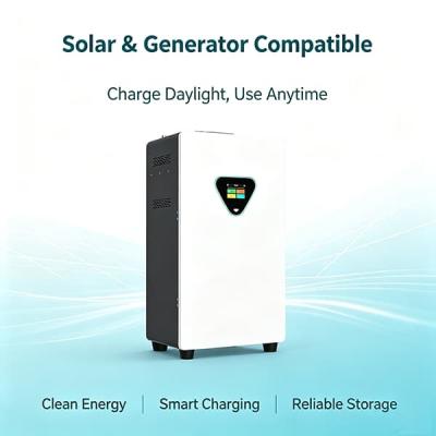 China Portable Wheeled Solar Energy Storage Cabinet 5kWh 51.2V 300Ah with Wi-Fi  Home Storage Energy for sale