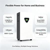 China 8000 Cycles LiFePO4 Home Backup Battery 51.2V 205Ah 10.496kWh Solar Energy Storage for Blackout Emergency Power for sale